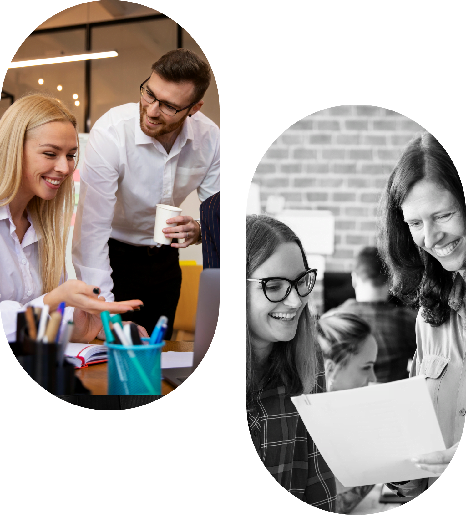 SEO Agency - Bonelli Systems