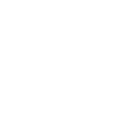 Building eCommerce Stores - Bonelli Systems